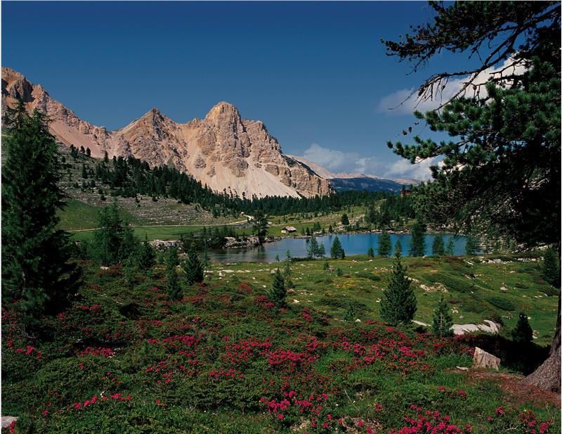 Dettagliata e di appeal: ecco la nuova mappa turistica Dolomiti