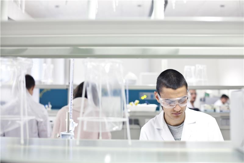 Ricerca scientifica, 2,5 milioni di euro per (i migliori) 12 progetti