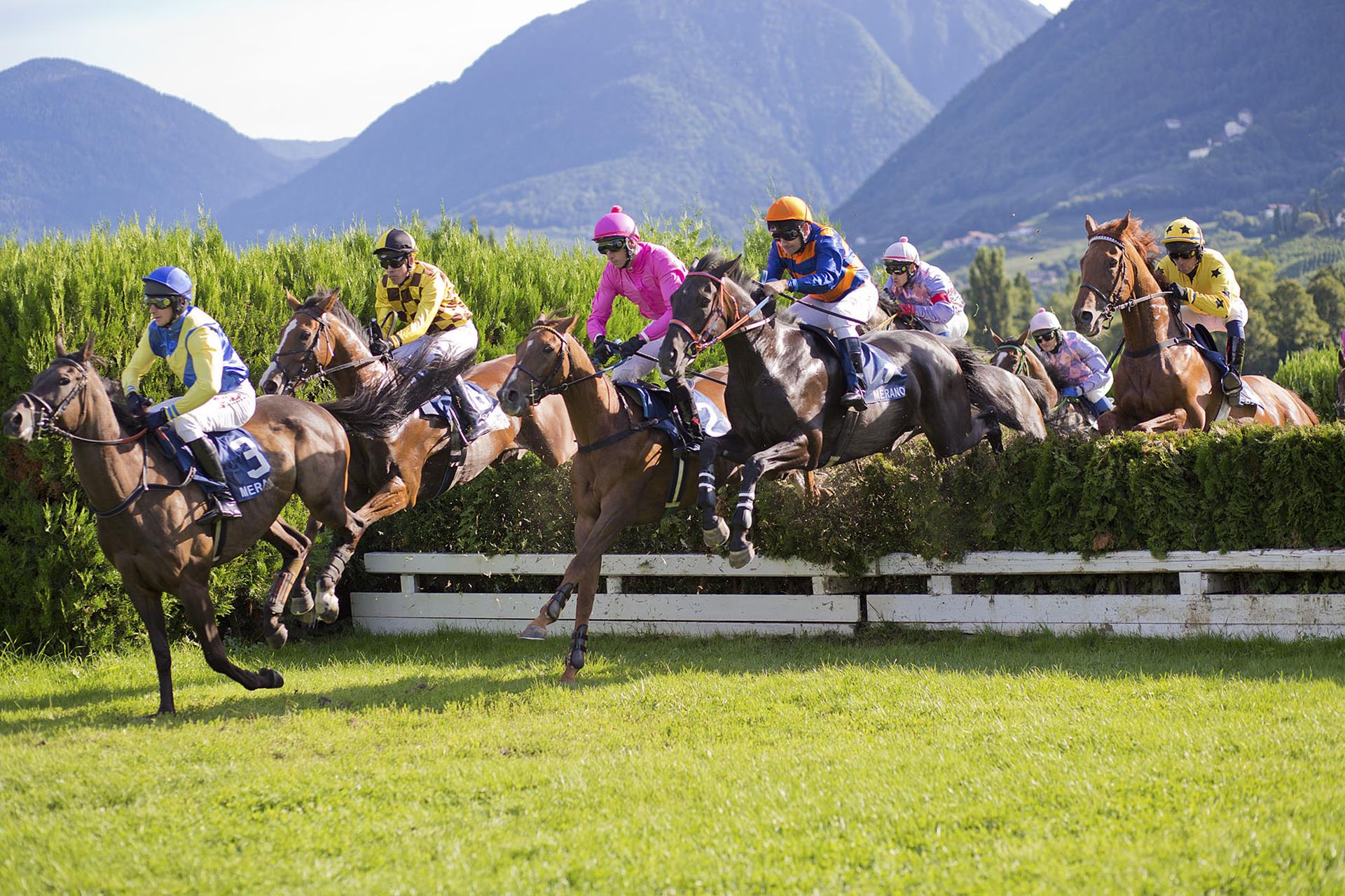 All'ippodromo di Merano un incubatore per le imprese