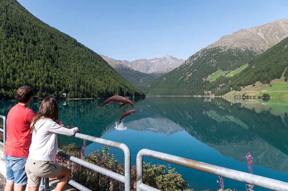 Pesce, anzi delfino d'aprile per Alperia