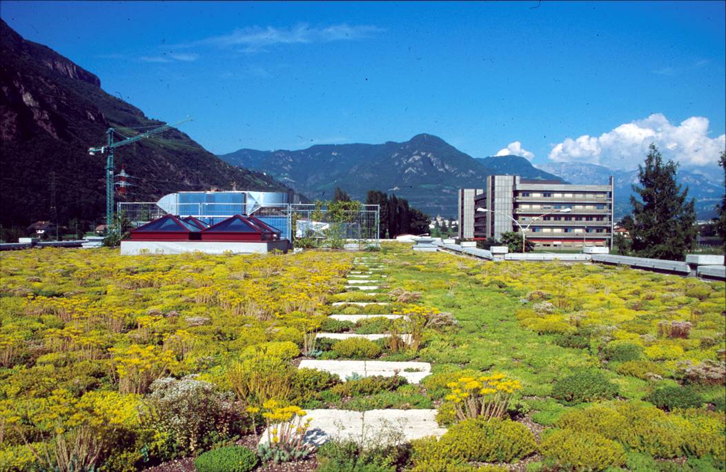 Tetti verdi a Bolzano Sud, l'oasi di serenità nel cuore produttivo ...