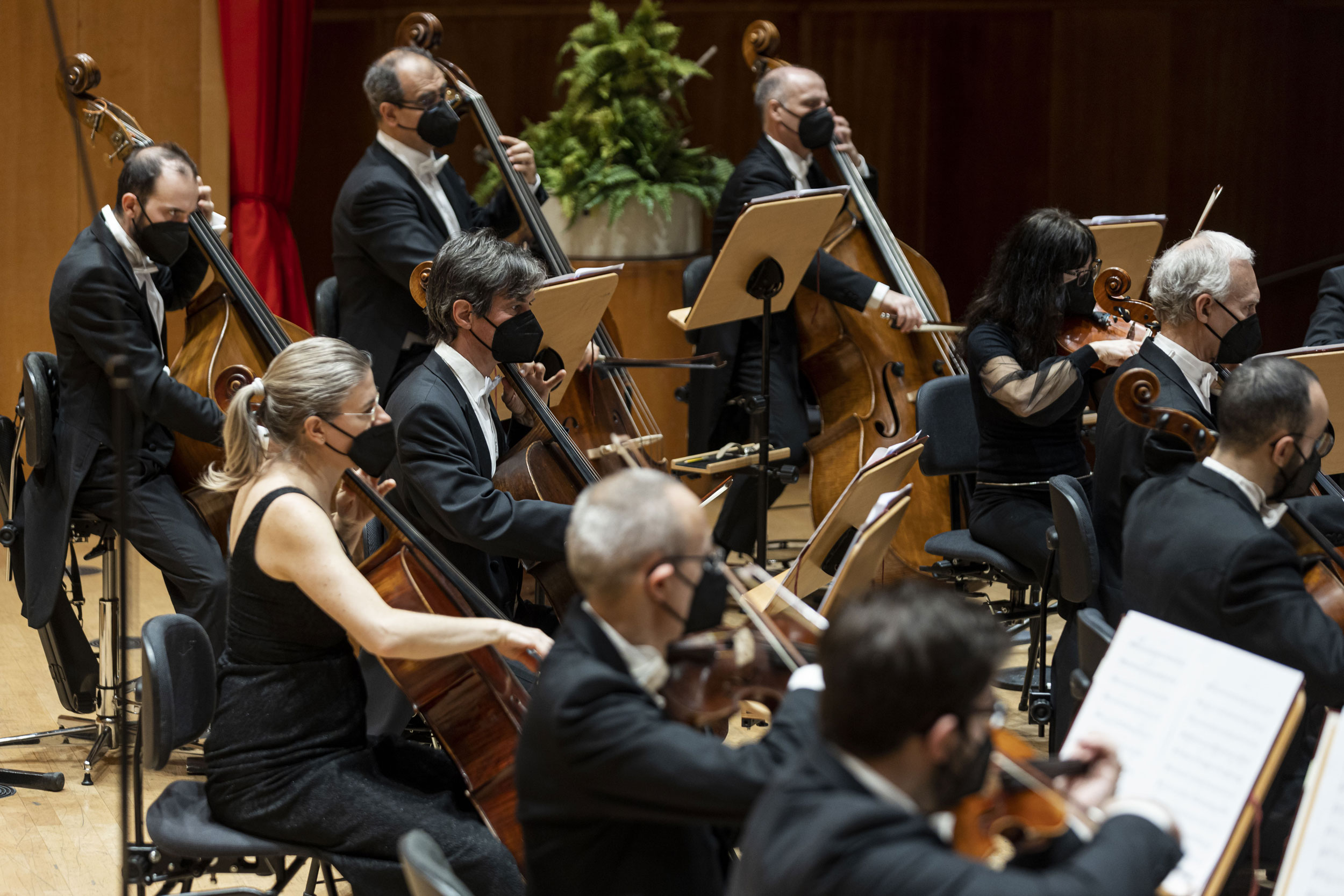 L'orchestra Haydn di Bolzano e Trento protagonista del concerto di ...