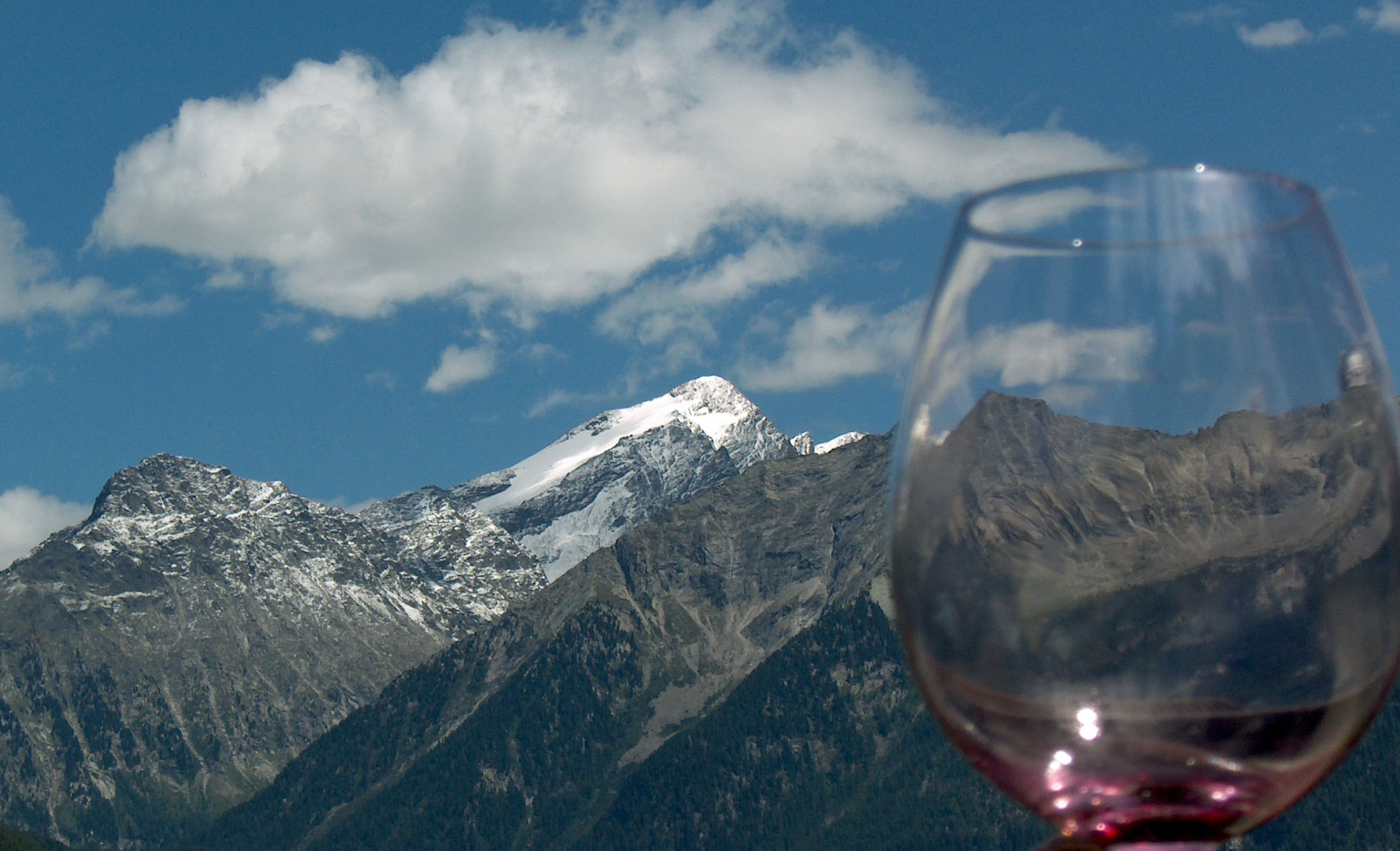 Merano Wine Festival 2022: dal 4 all'8 novembre la trentunesima ...